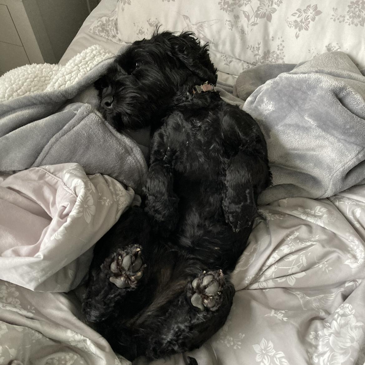 โพสต์ ของ 🌸Freya🌸|Lemon8