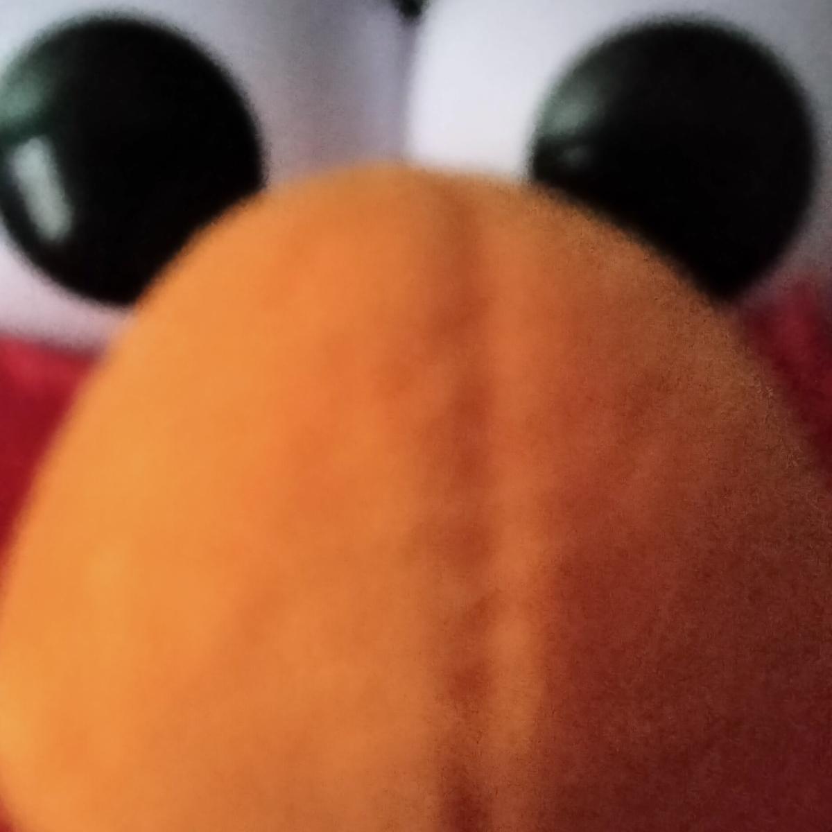 โพสต์ ของ elmo|Lemon8