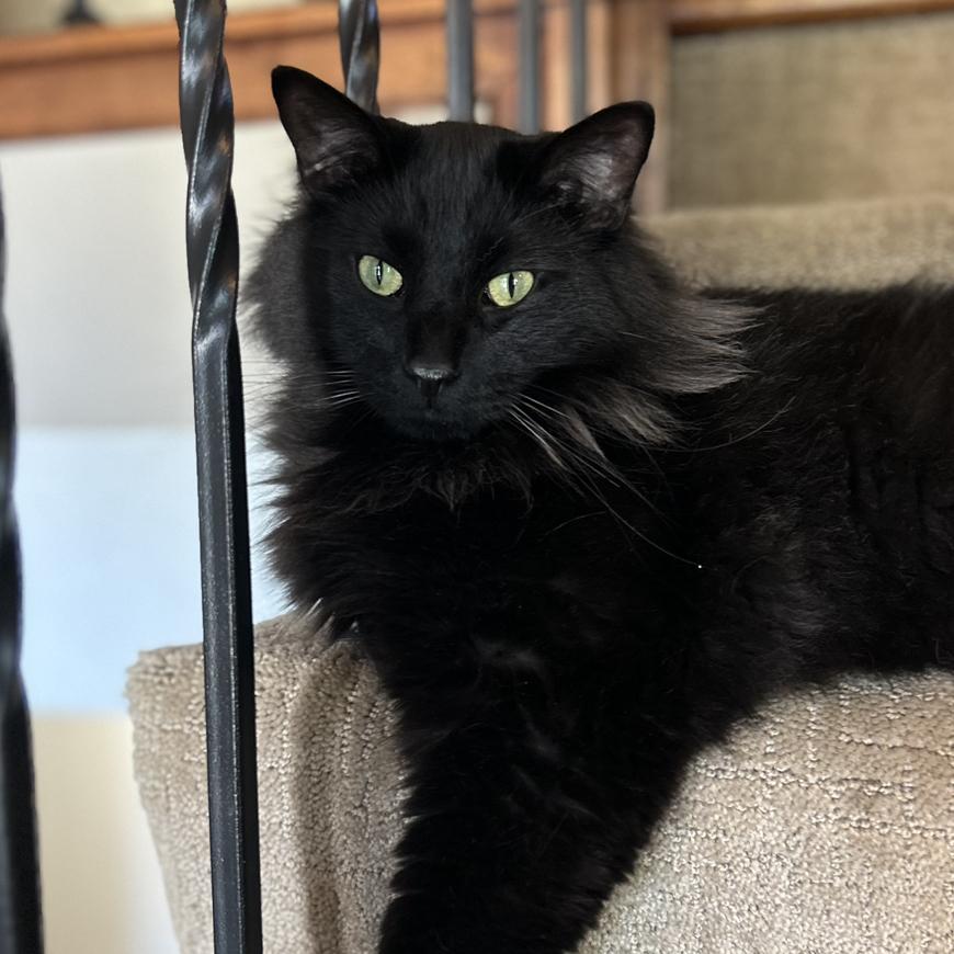 โพสต์ ของ Emma Kate|Lemon8