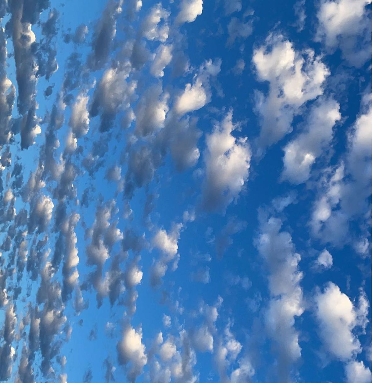 โพสต์ ของ Matlyn_18|Lemon8