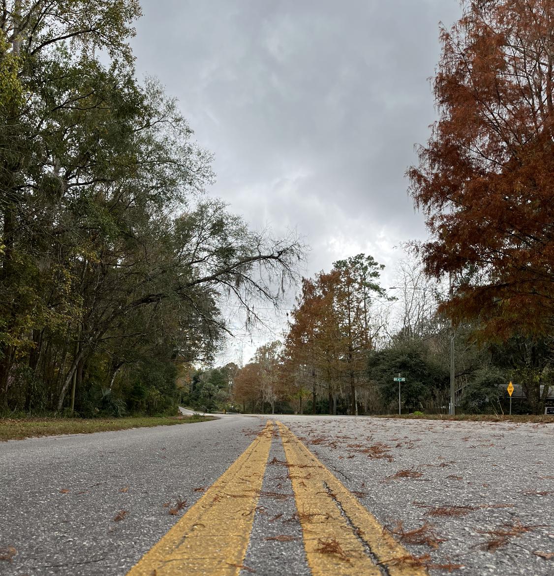 โพสต์ ของ Bella |Lemon8