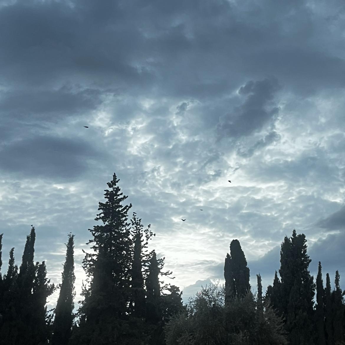 โพสต์ ของ 6na|Lemon8