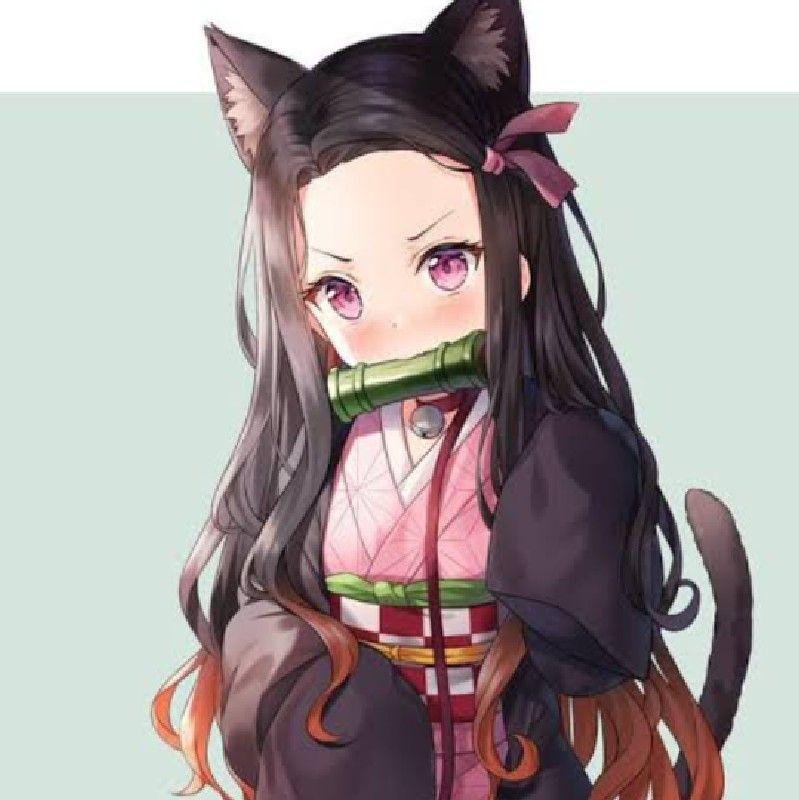 โพสต์ ของ Darling_pn_pn|Lemon8