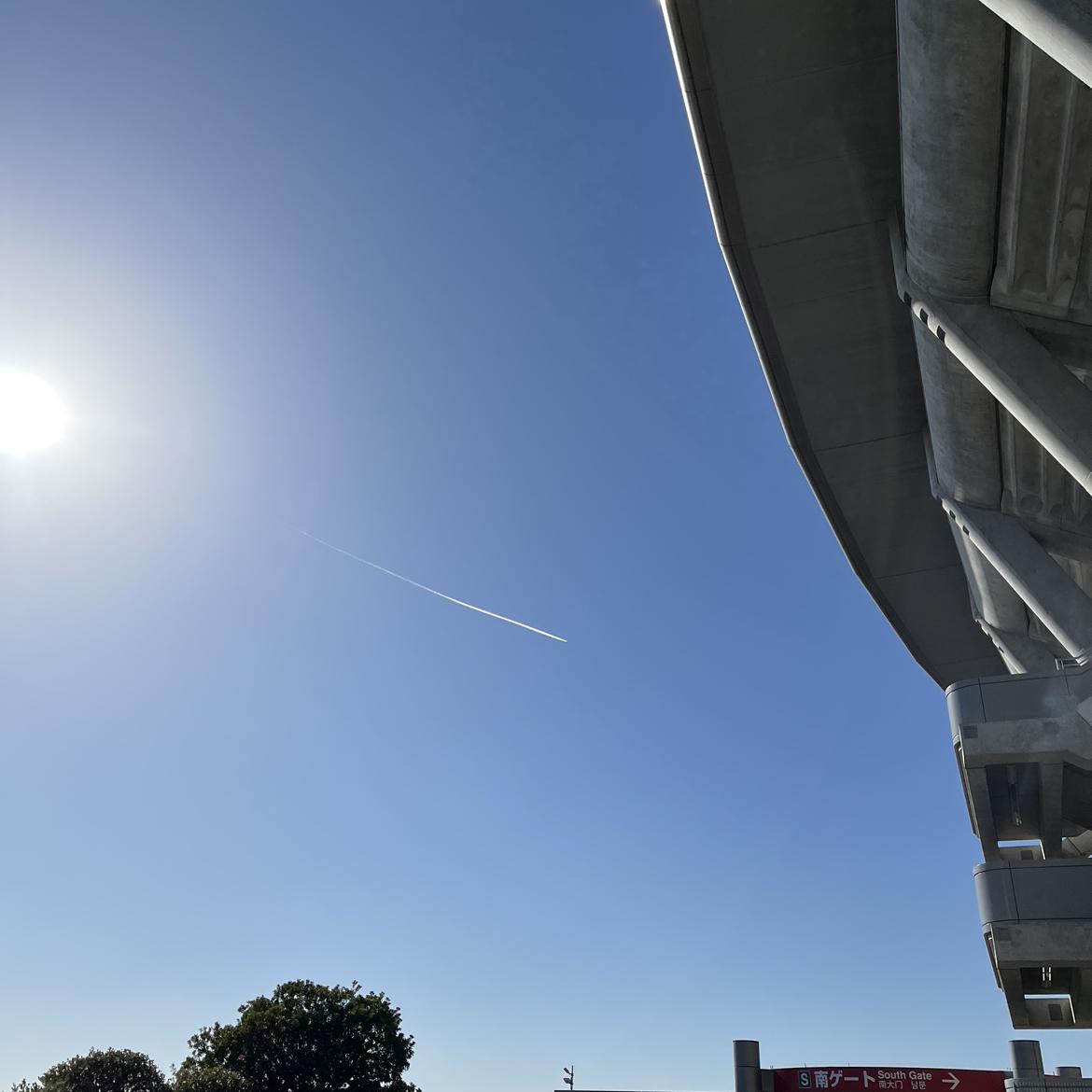 โพสต์ ของ 𝕣𝕚🐷|Lemon8