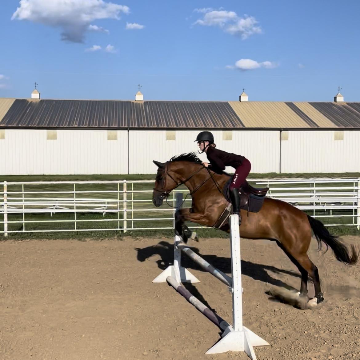 โพสต์ ของ Taylor |Lemon8