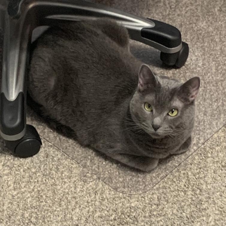 โพสต์ ของ Summer B|Lemon8