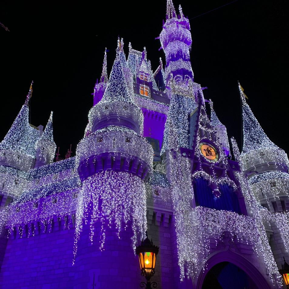 โพสต์ ของ mia|Lemon8