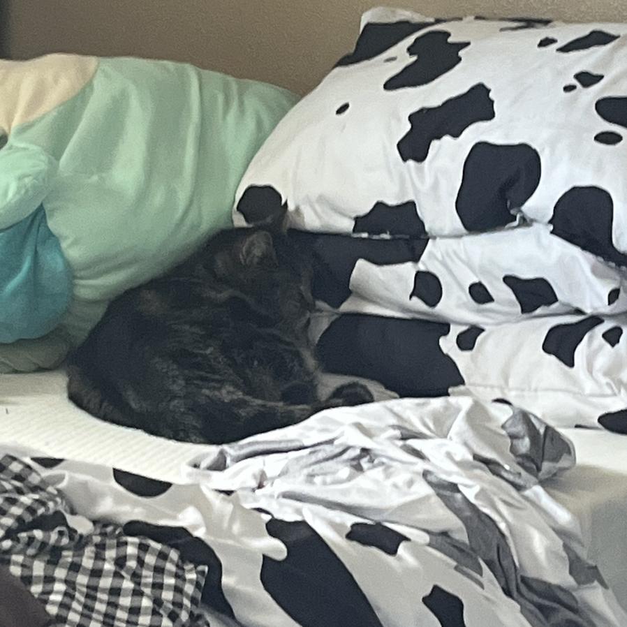 โพสต์ ของ MaKenly Ray|Lemon8