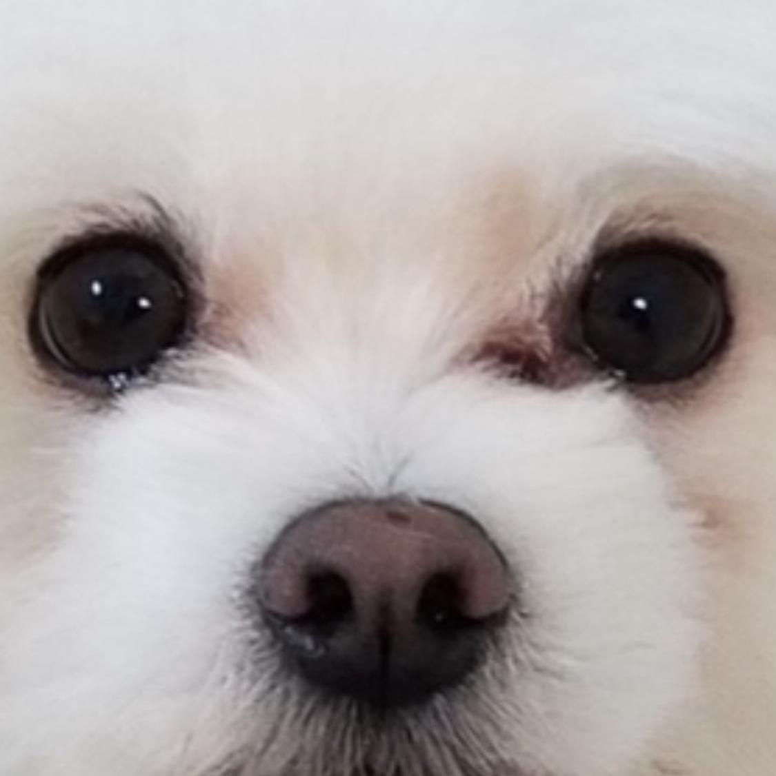 โพสต์ ของ sky|Lemon8