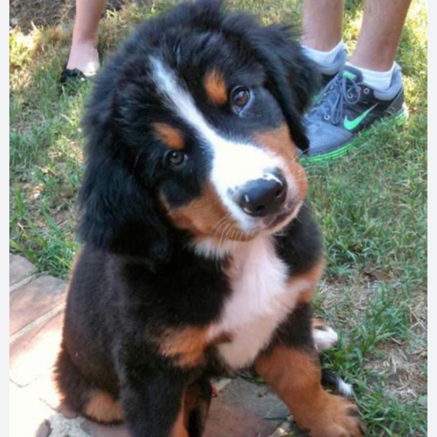 Kolbie😗's Post|Lemon8