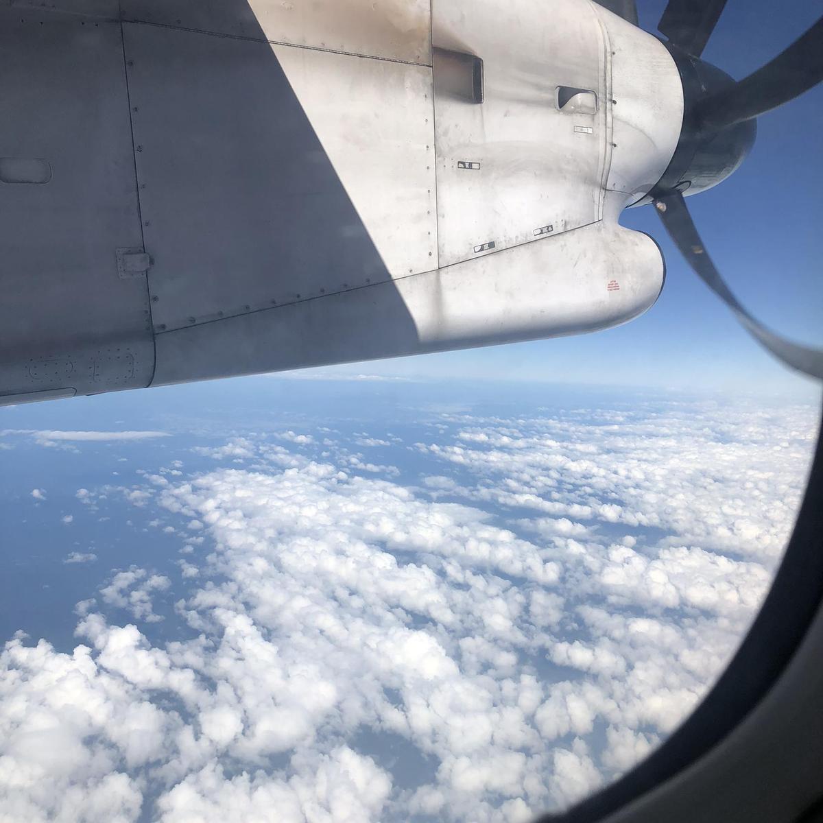 โพสต์ ของ Jew|Lemon8