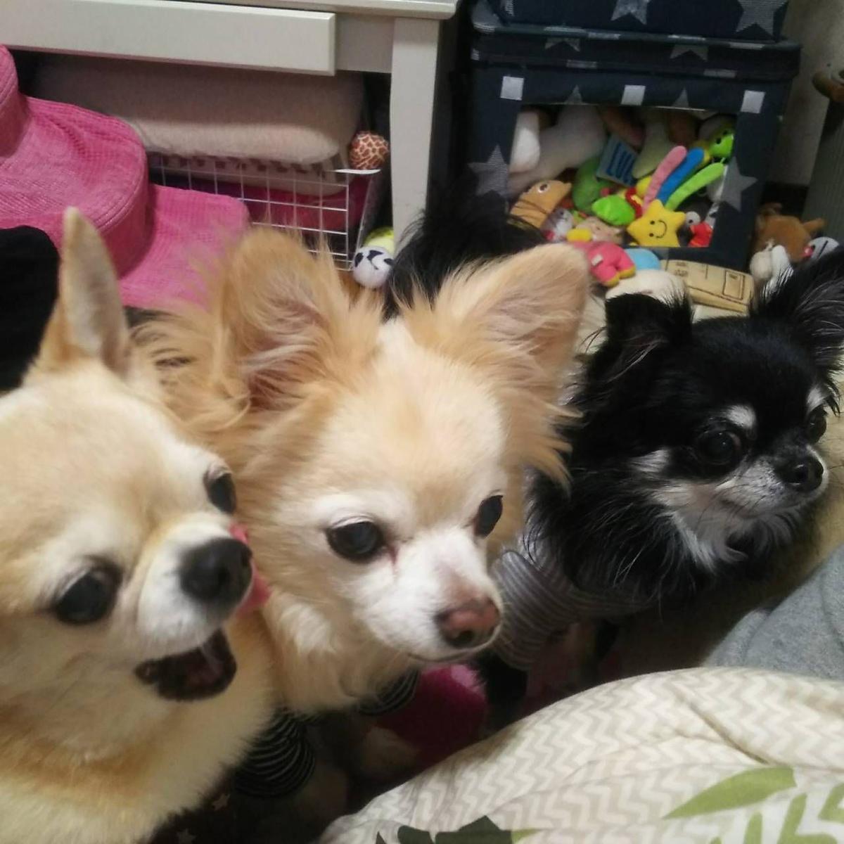 โพสต์ ของ nori|Lemon8