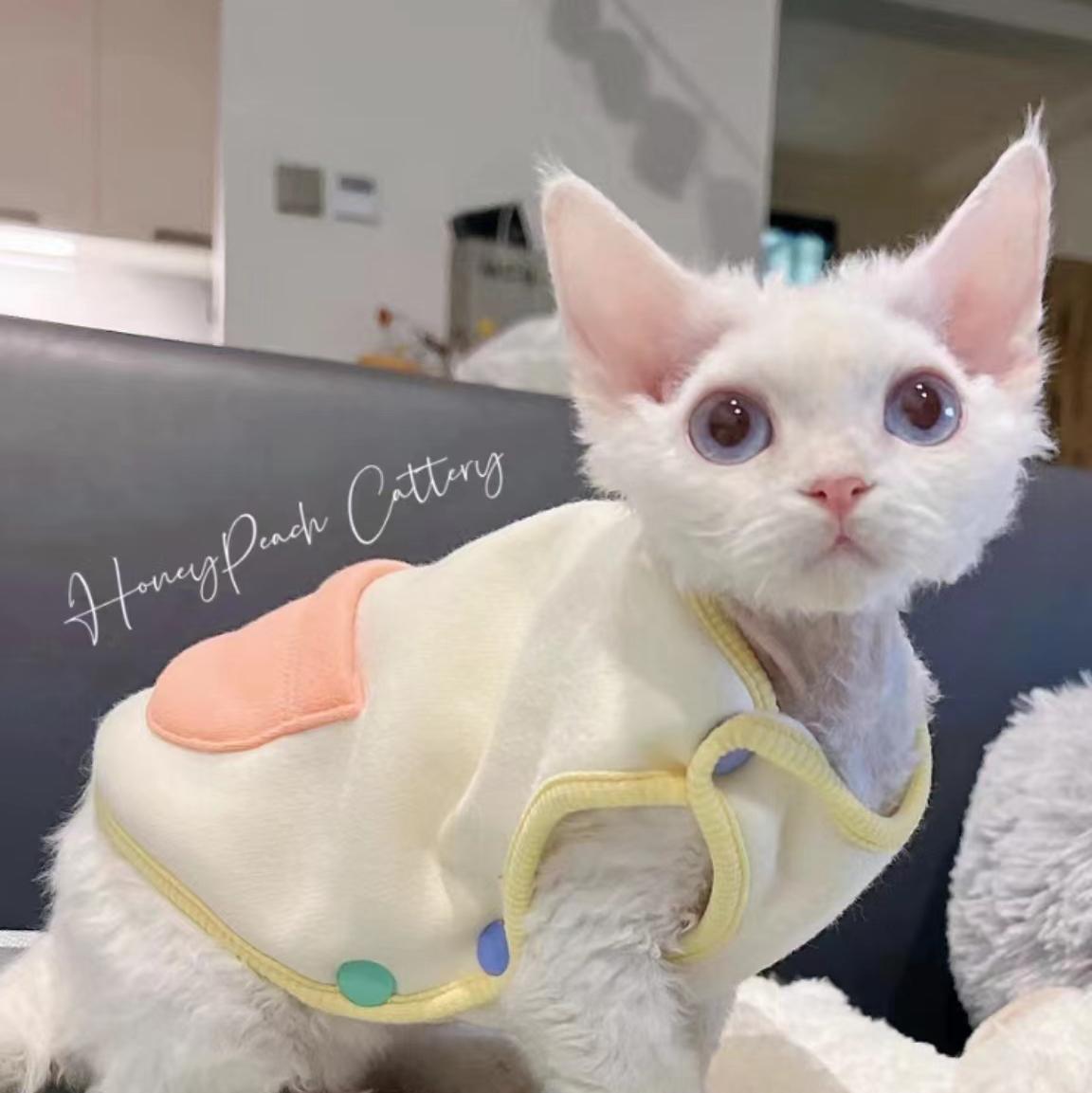 โพสต์ ของ Lee Carrie|Lemon8