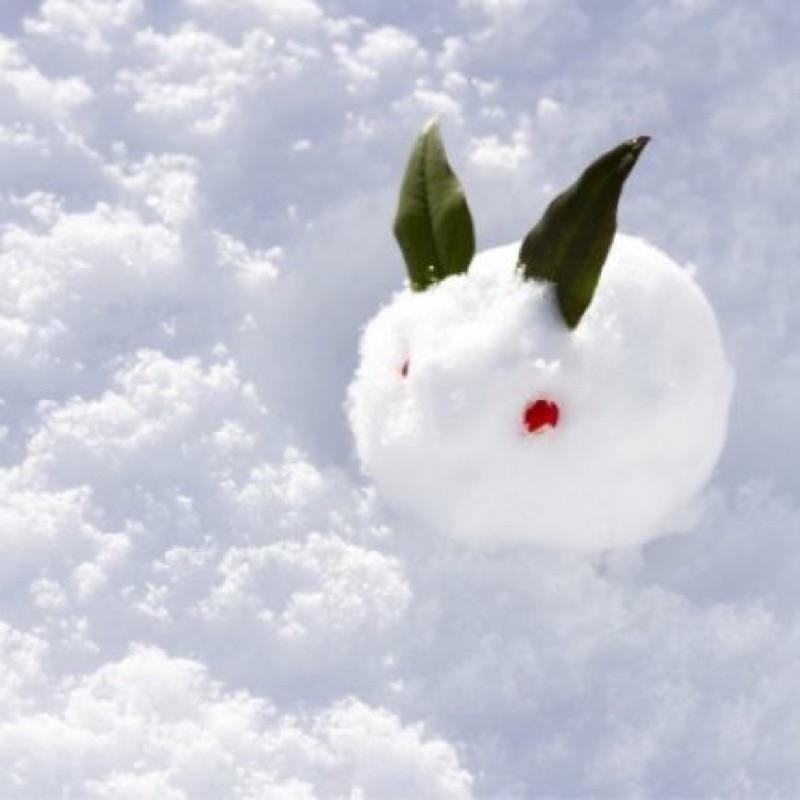 โพสต์ ของ lemonade|Lemon8