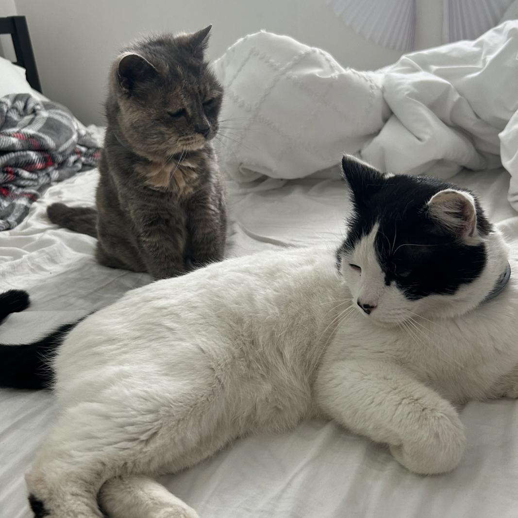 โพสต์ ของ Cloudy and Rain|Lemon8