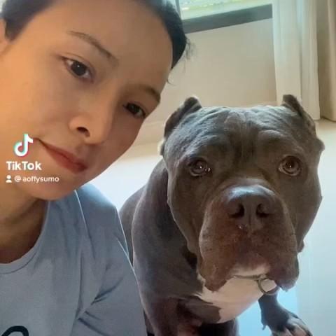 โพสต์ ของ Aoffy (Sumo🐶)|Lemon8