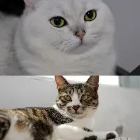 โพสต์ ของ Snow&Jane|Lemon8