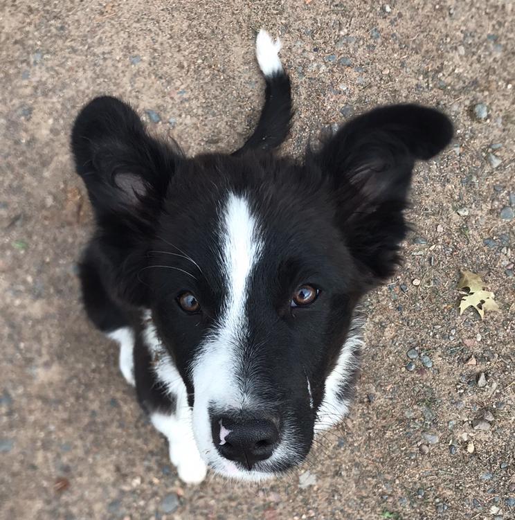 โพสต์ ของ Natalie._.|Lemon8