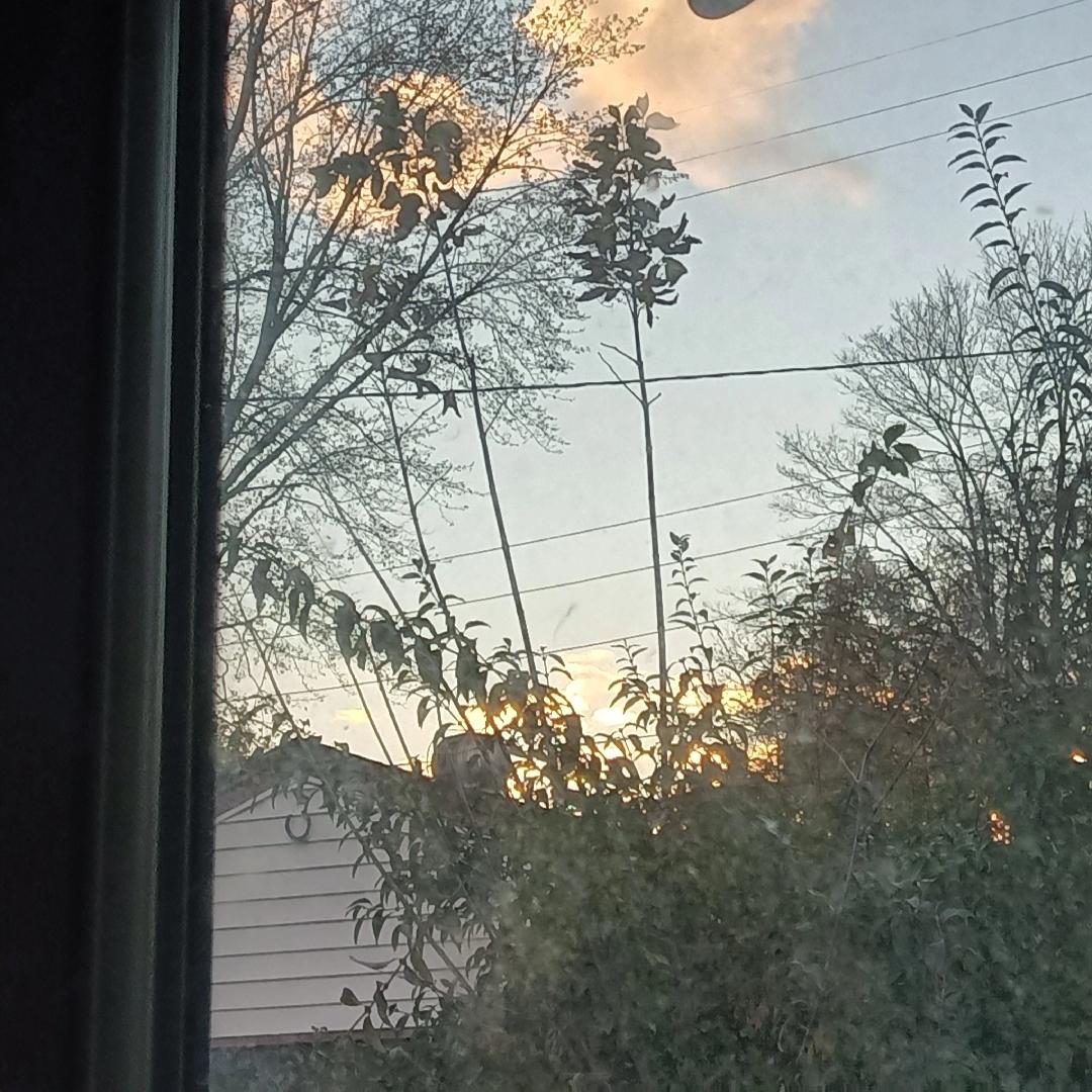 โพสต์ ของ Jay🍁|Lemon8