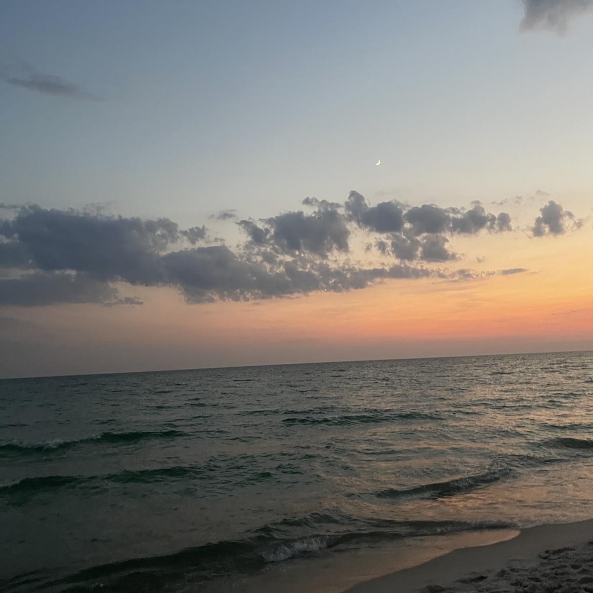 โพสต์ ของ Sofia |Lemon8