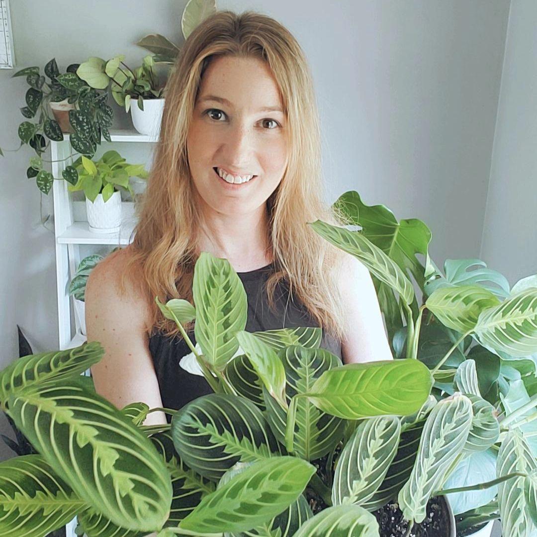 โพสต์ ของ Rustee Rose|Lemon8