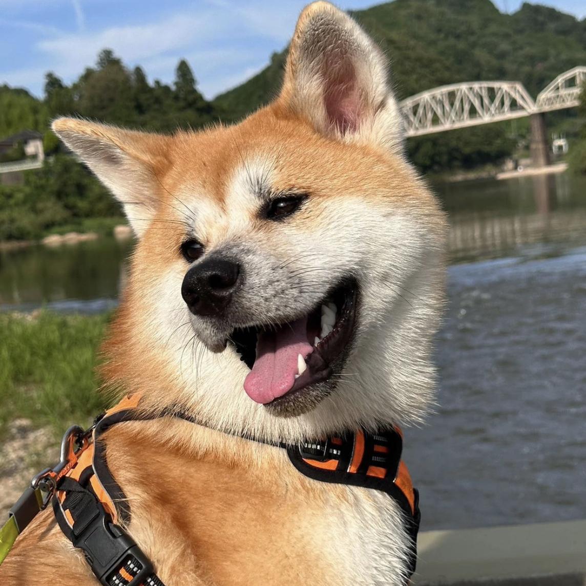 โพสต์ ของ KUSA🍀オススメ|Lemon8