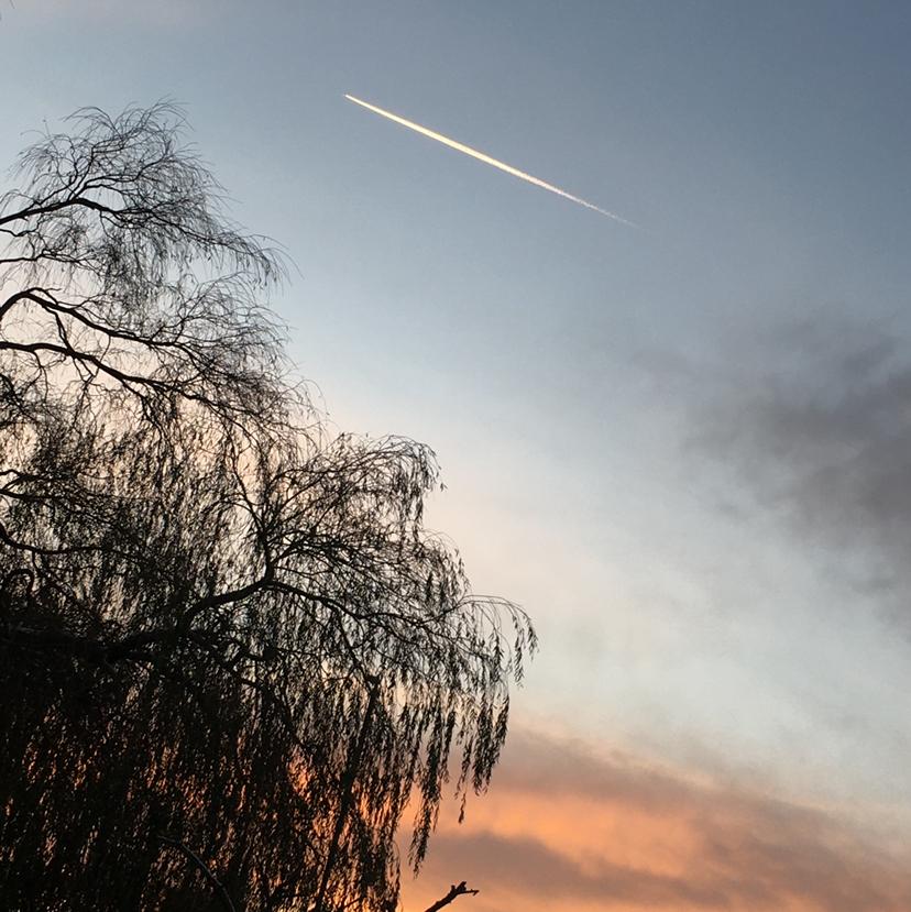 โพสต์ ของ Poppy|Lemon8