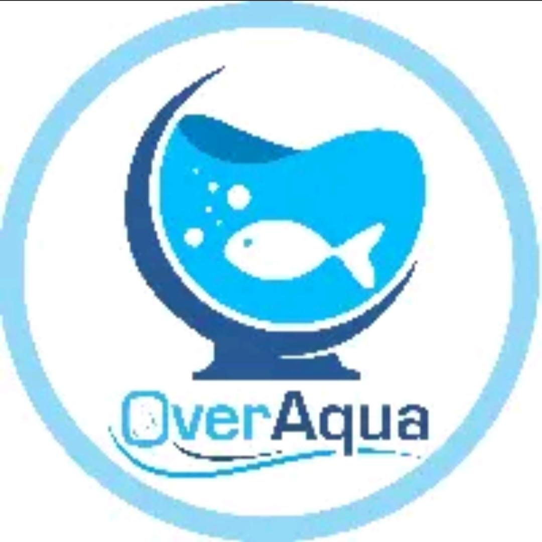 โพสต์ ของ Over Aqua|Lemon8