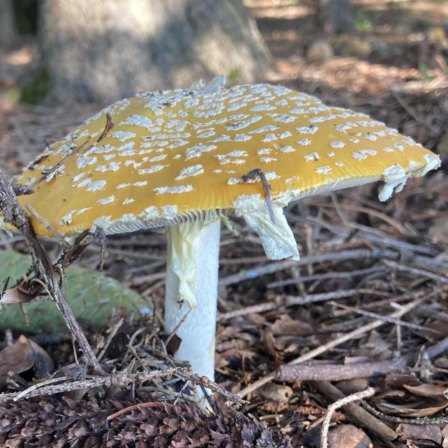 Jay🩵🩵's Post|Lemon8