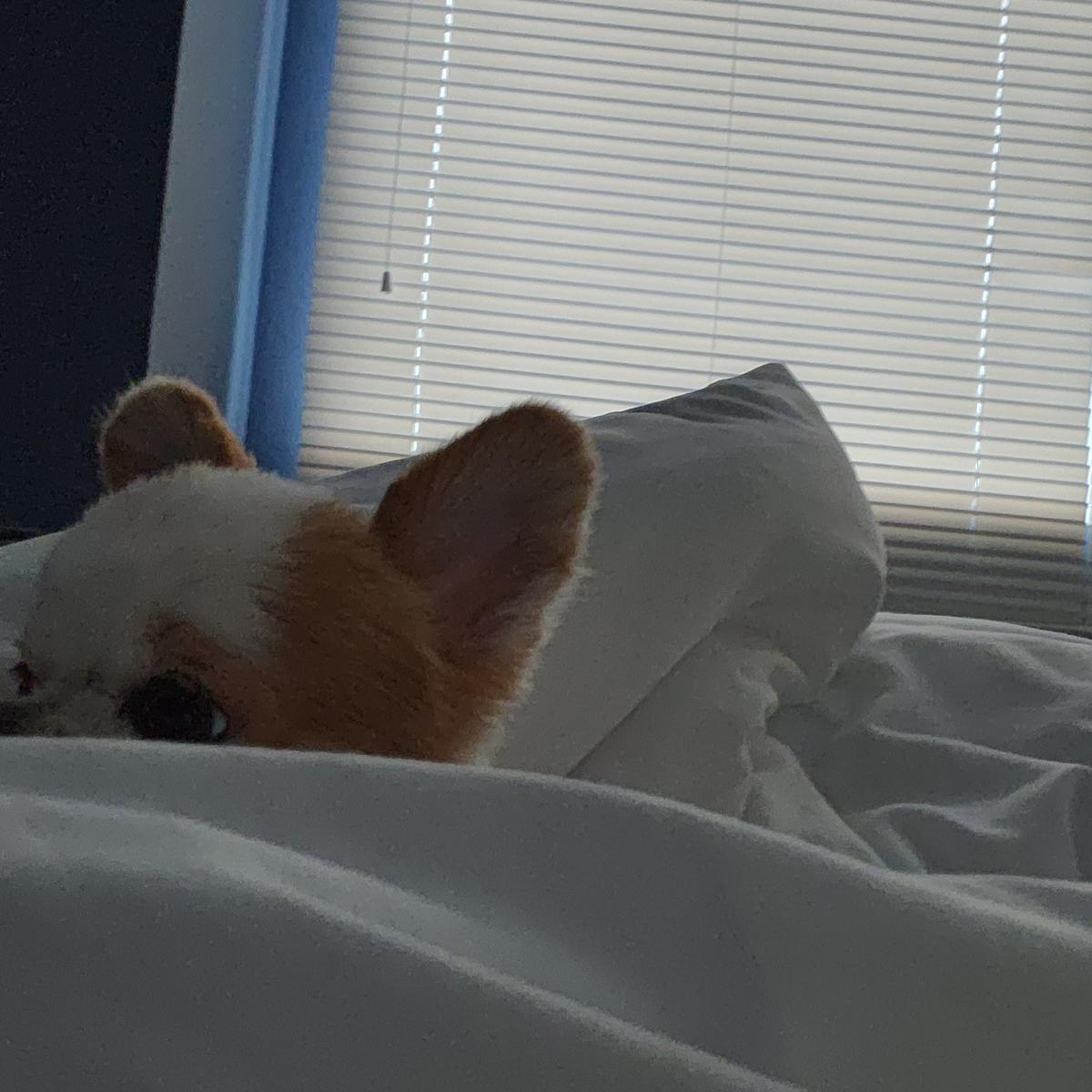 โพสต์ ของ chi|Lemon8