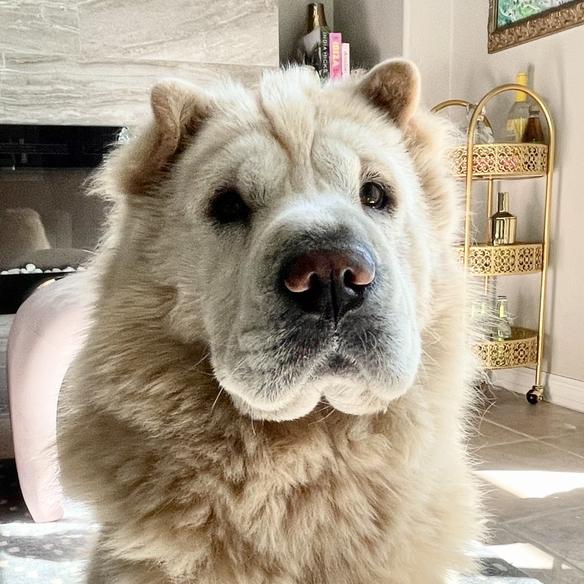 Sunshine's Post|Lemon8