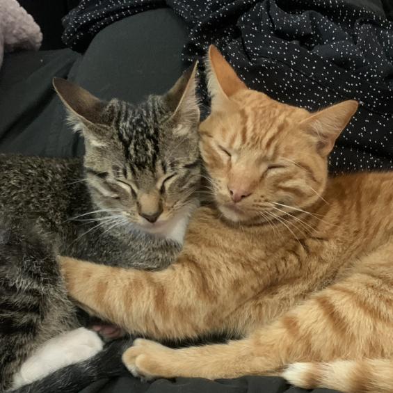 โพสต์ ของ Megan Dutton|Lemon8