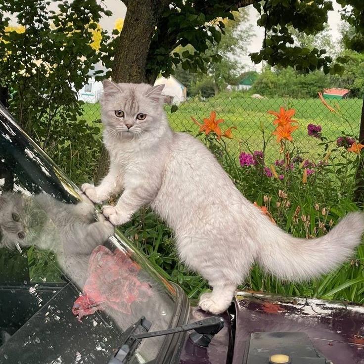 โพสต์ ของ Venus|Lemon8