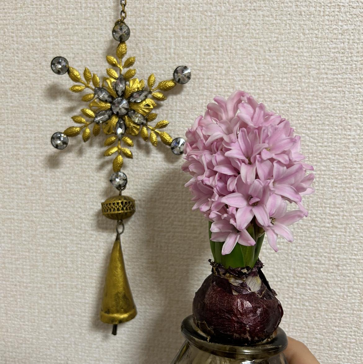 โพสต์ ของ czecho|Lemon8