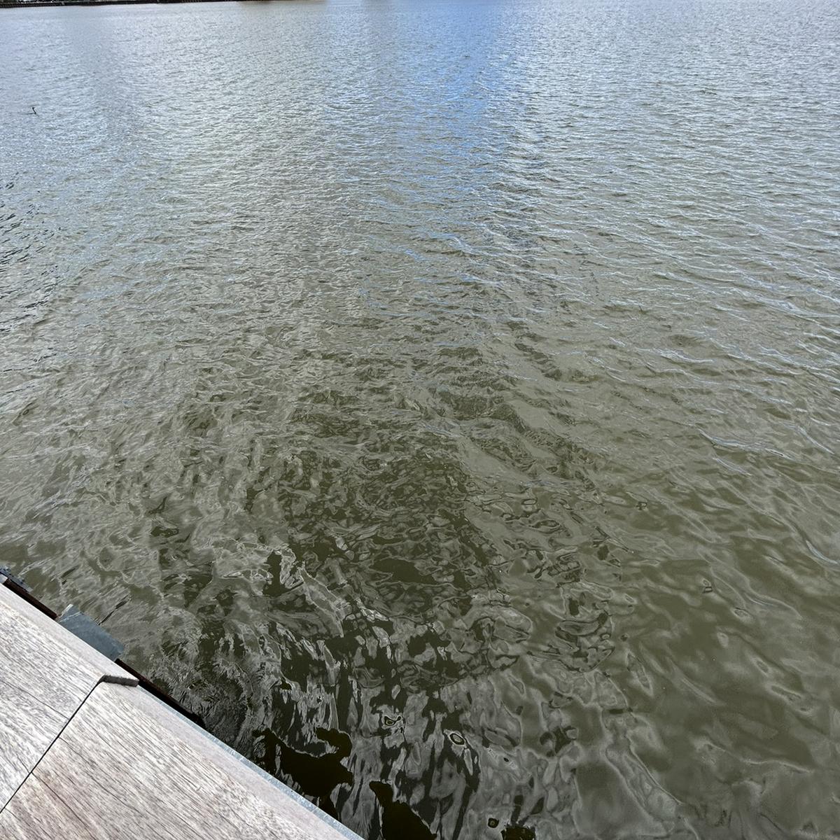 โพสต์ ของ Ri|Lemon8