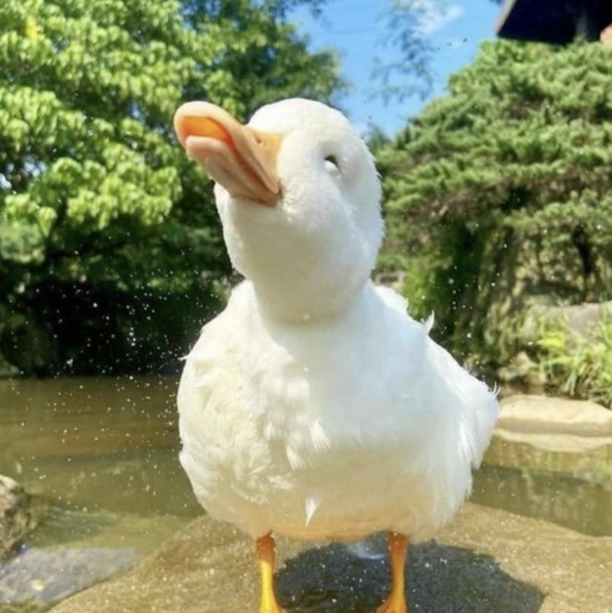 โพสต์ ของ RyRy|Lemon8