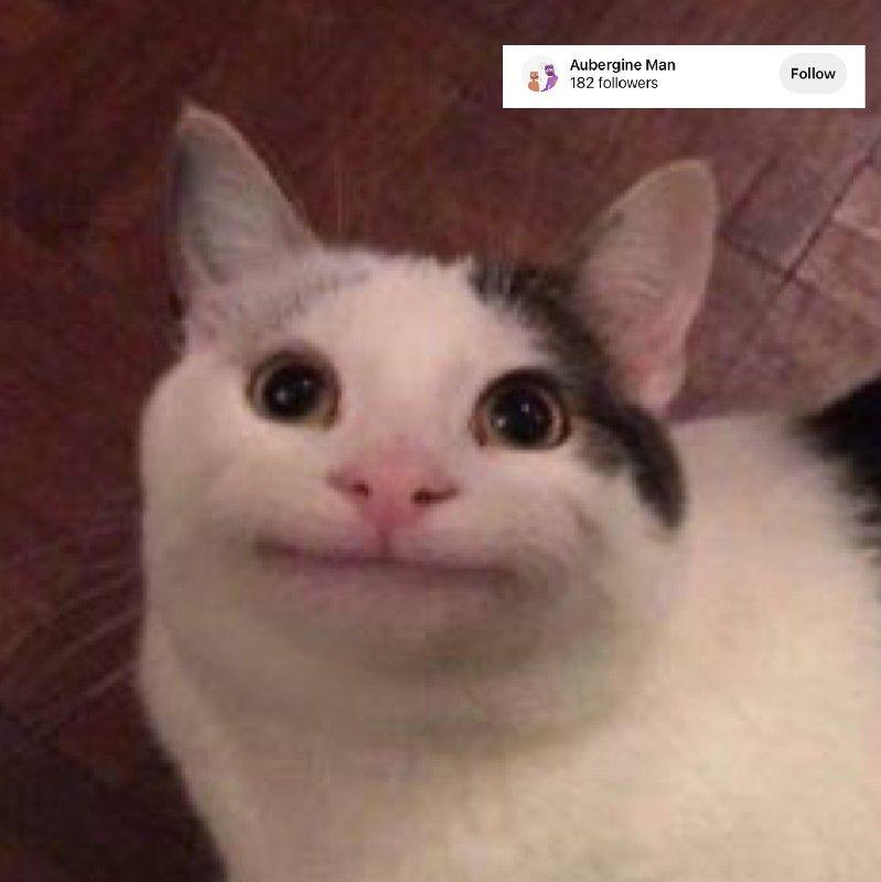 โพสต์ ของ pt.|Lemon8