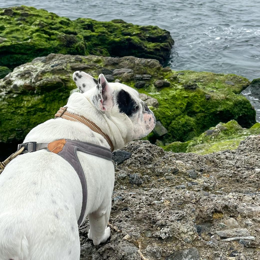 โพสต์ ของ Ace|Lemon8