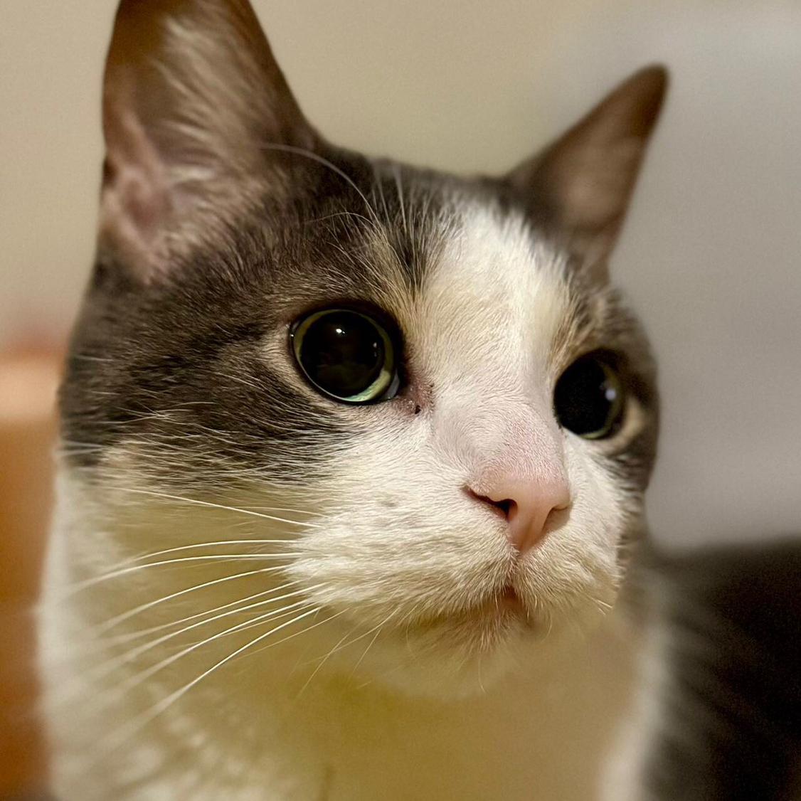 xing wei's Post|Lemon8