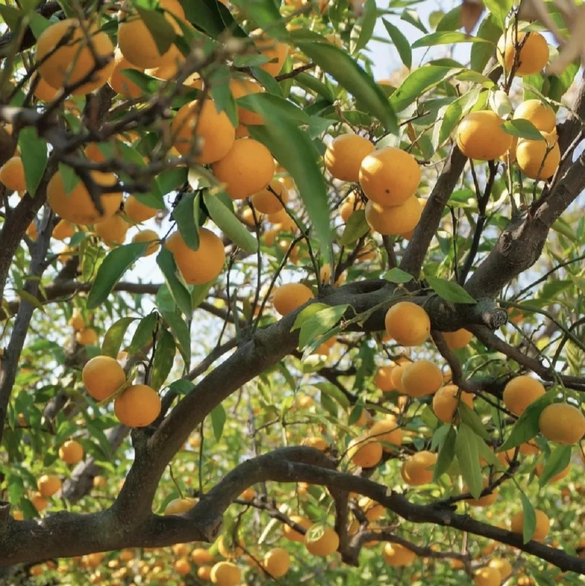 Posting IY.GK|Lemon8