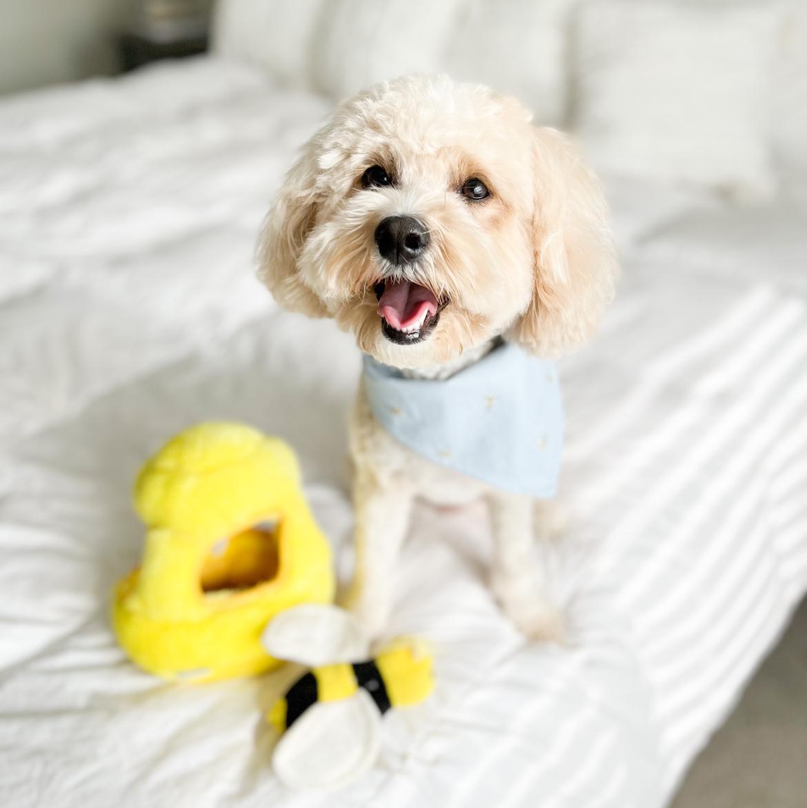 โพสต์ ของ Honey Boo|Lemon8