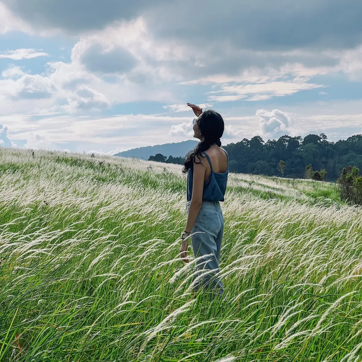 โพสต์ ของ Muta kha|Lemon8