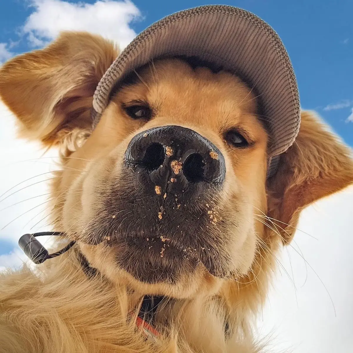 โพสต์ ของ PS-Official |Lemon8