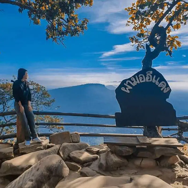 โพสต์ ของ Ha💚wannee.t|Lemon8