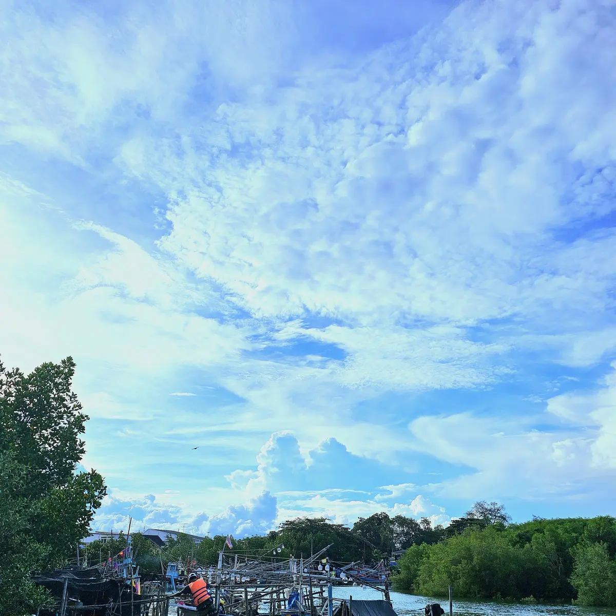 โพสต์ ของ Tantawan|Lemon8