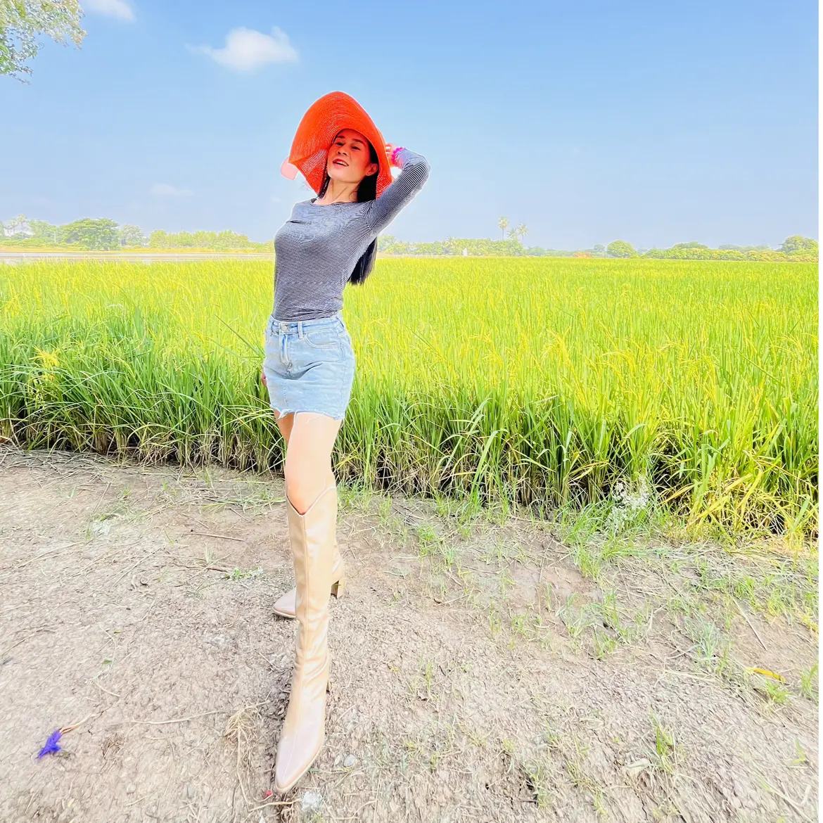 โพสต์ ของ Aoyy_sweet|Lemon8