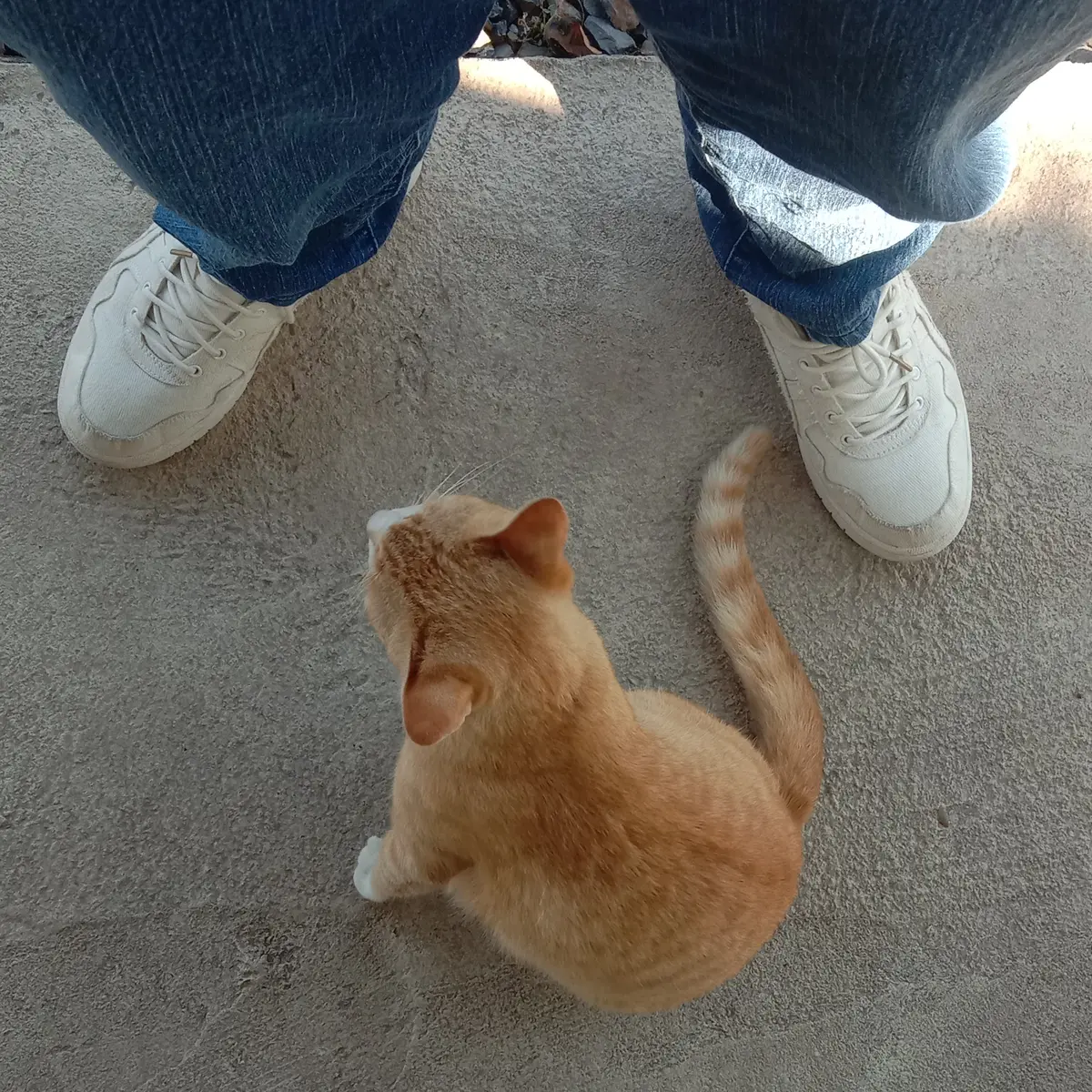 โพสต์ ของ Gao|Lemon8