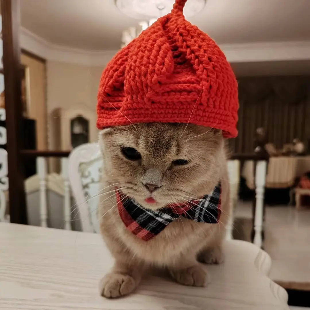 โพสต์ ของ Khun Aroy|Lemon8