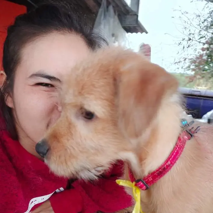 โพสต์ ของ บุษบา66|Lemon8