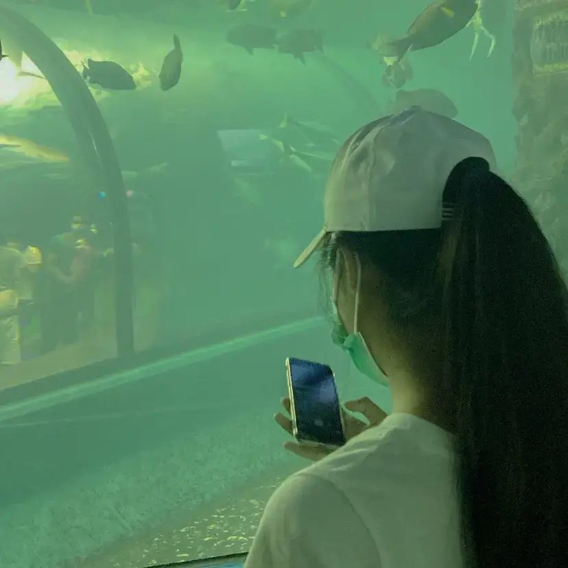 โพสต์ ของ nnnnt’|Lemon8